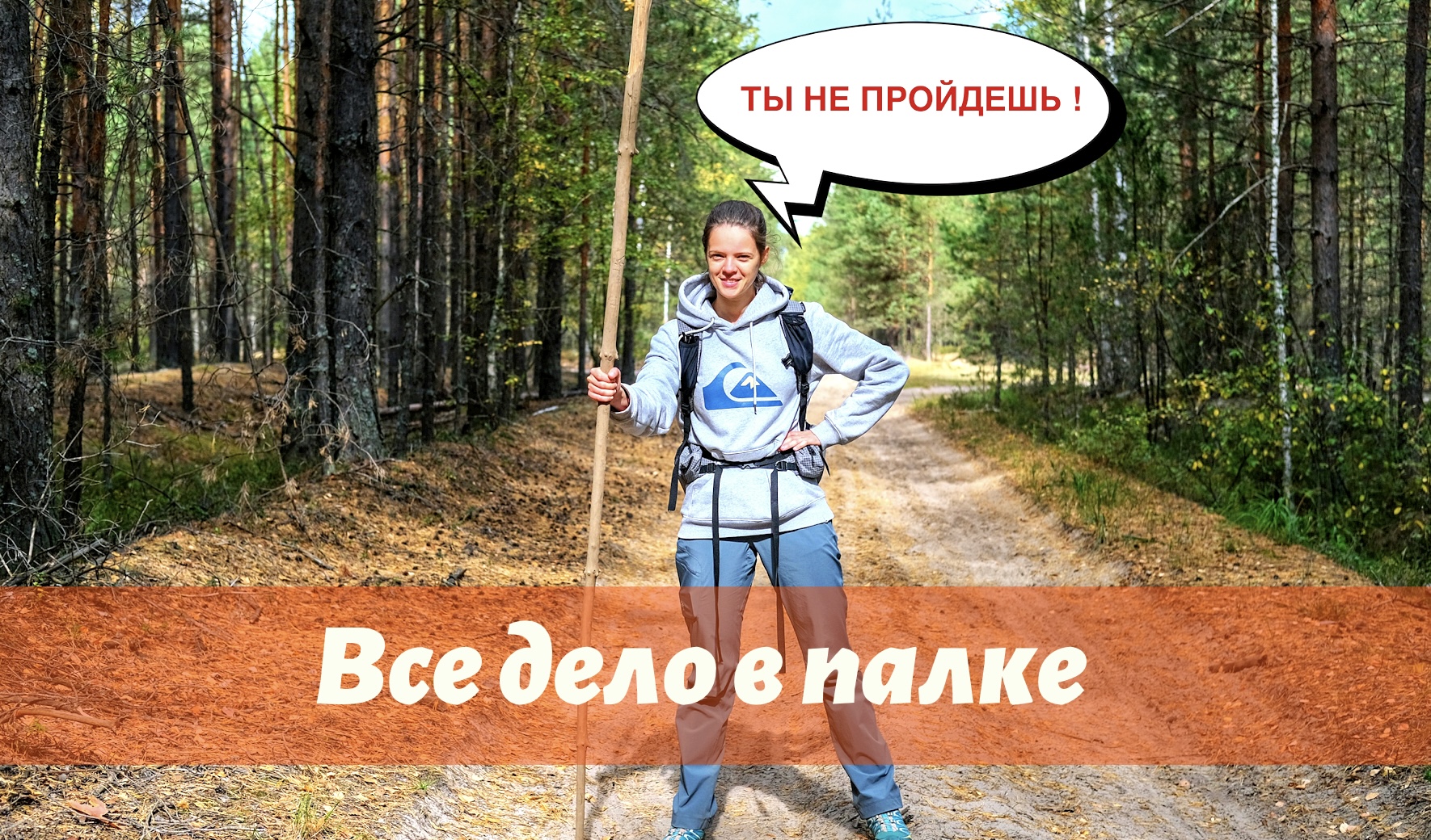 ДОРОГО, УДОБНО И ТЕХНОЛОГИЧНО. Треккинговые палки Black Diamond Distance Carbon FLZ