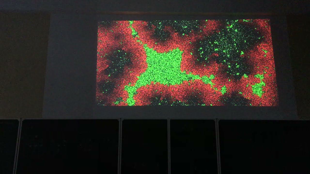 МиВвФ 2021-л14_доп