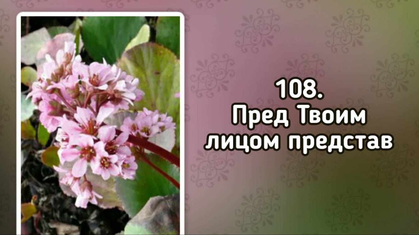 Гимны 108 Пред Твоим лицом представ (-)