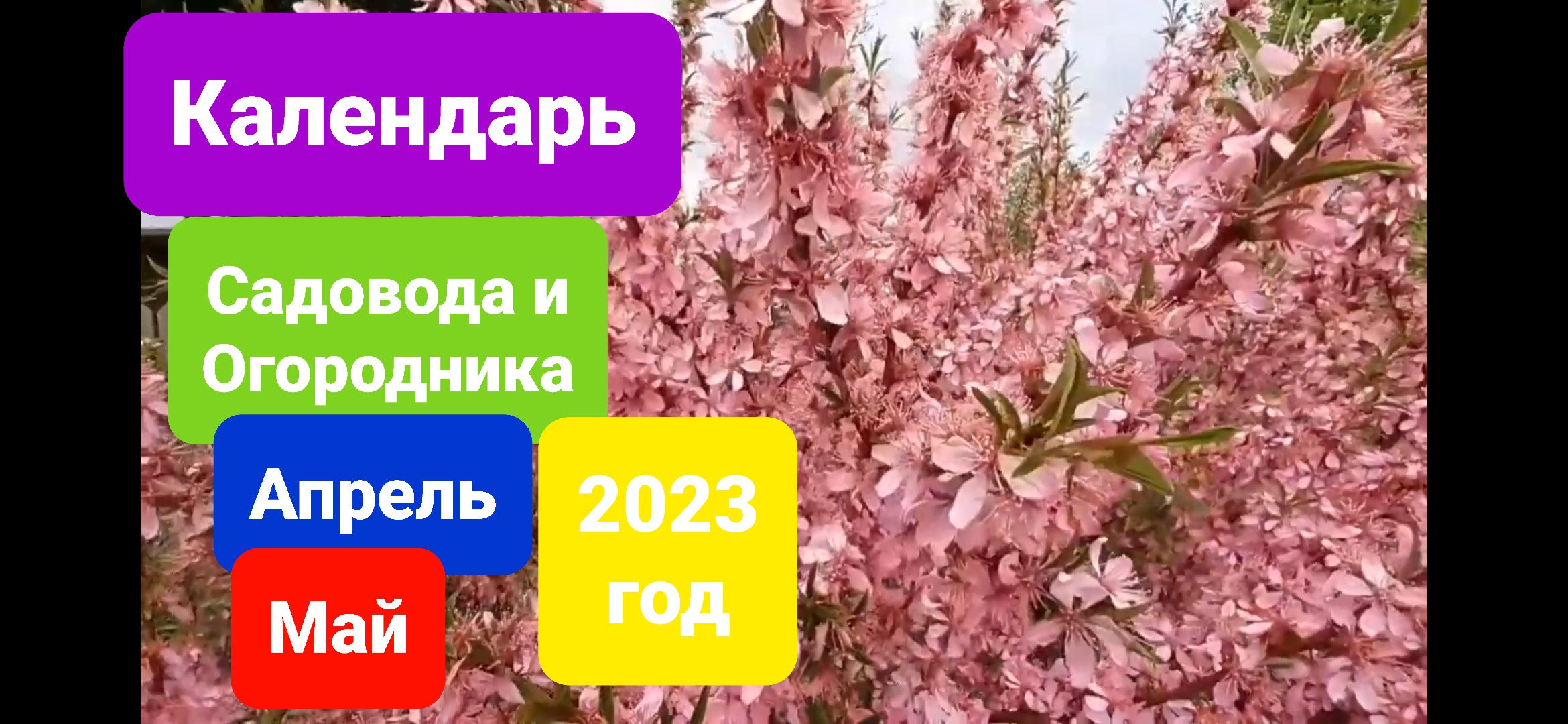 Посевной календарь на Апрель-Май 2023г. Для Приволжского округа, Урала и Западной Сибири.