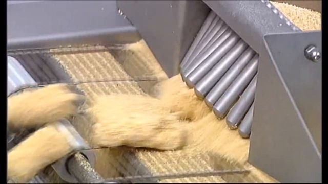 Автоматический аппарат для формовки фрикаделек GASER S-1500-Pс