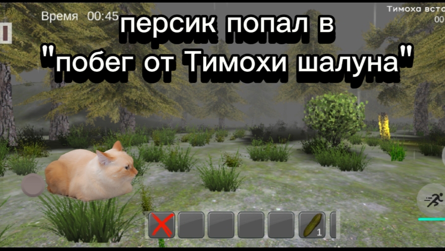 персик попал в
"Побег от Тимохи шалуна"
вконец ядерка