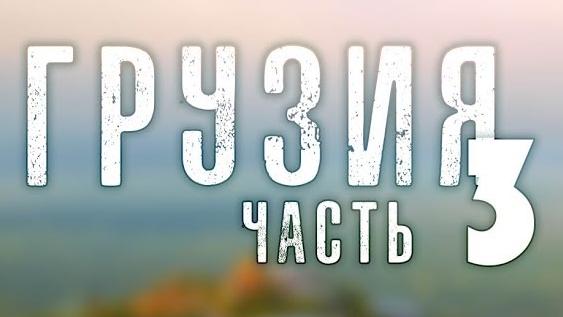 ОТЕЦ СЕРГИЙ В ГРУЗИИ. ВИДЕОДНЕВНИК ПУТЕШЕСТВИЯ. ЧАСТЬ 3. ЗАБАСТОВКА
