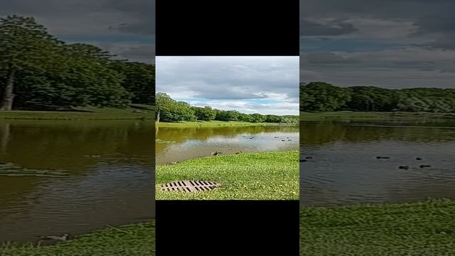 Гатчина , Гатчинский парк