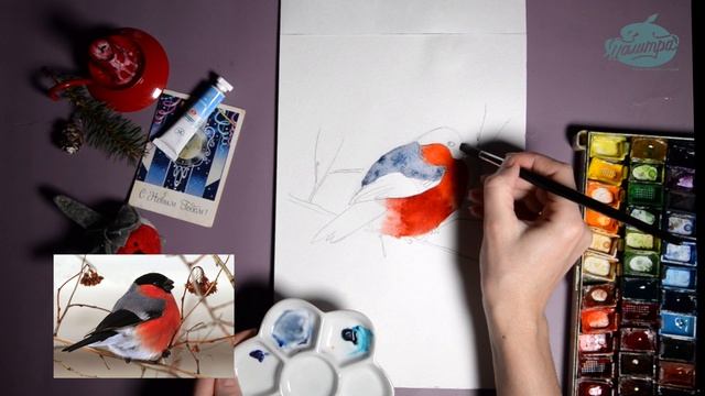 Видеоурок по рисованию снегиря акварелью для детей 5+