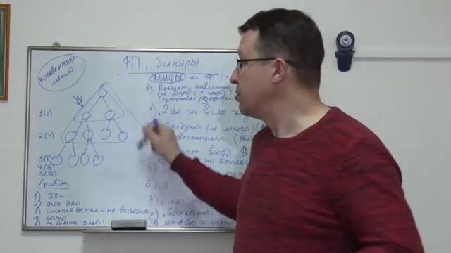 Бинарные сетевые компании.