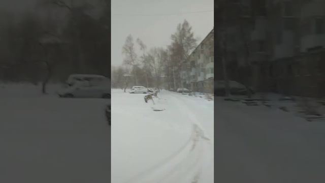 27 апреля.С Новым годом!#сновымгодом #аперельзима #2023