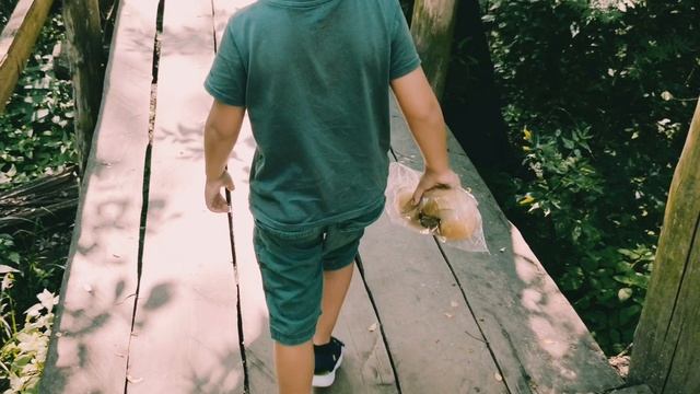 Киржач, Типографский мост?, Александровский сад, прогулка с родственниками.