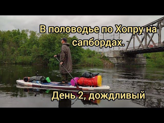 На сапбордах в половодье по реке Хопёр. День второй, дождливый. #сапборд #sup #водный_поход