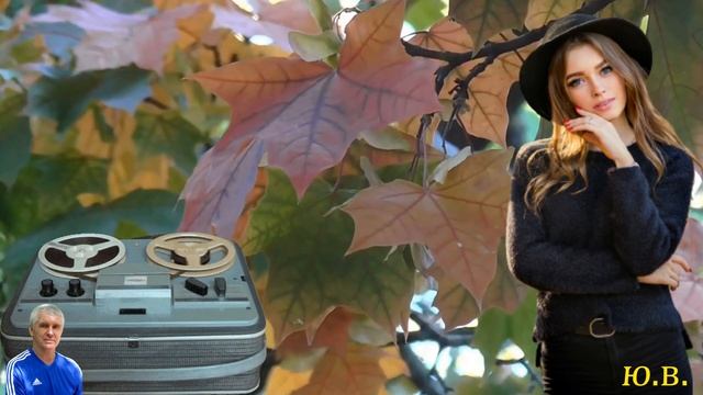 Алик Берисон. Клёны выкрасили город..mp4