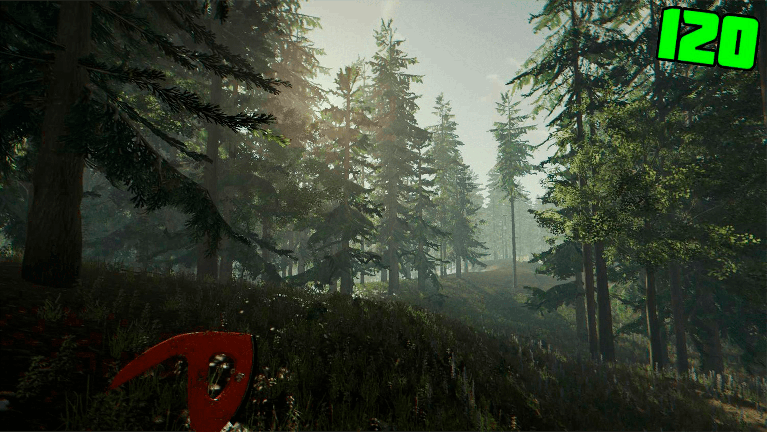 The Forest и повышение FPS на бюджетном ПК