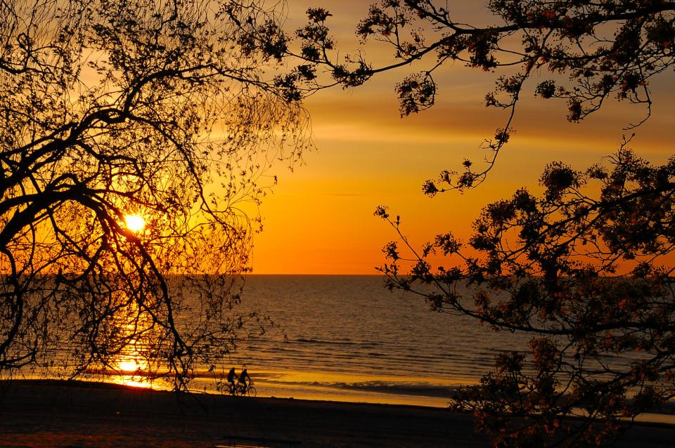 Федя называет Машку Энергетикой.