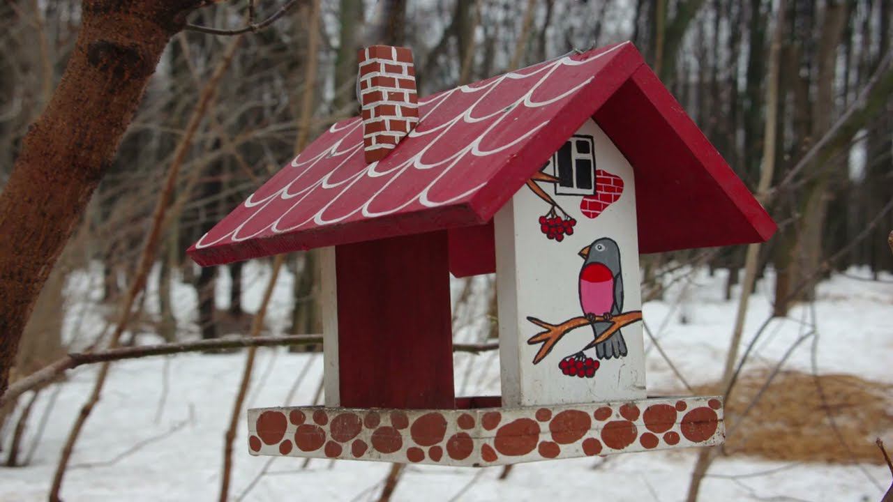 Путешествие в мир фантазий.