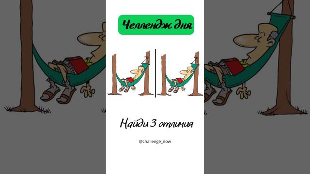 Найди отличия 27