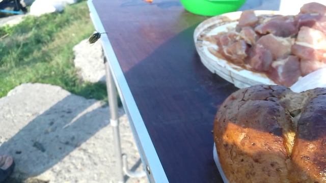 На рыбалке под шашлык #рыбалка