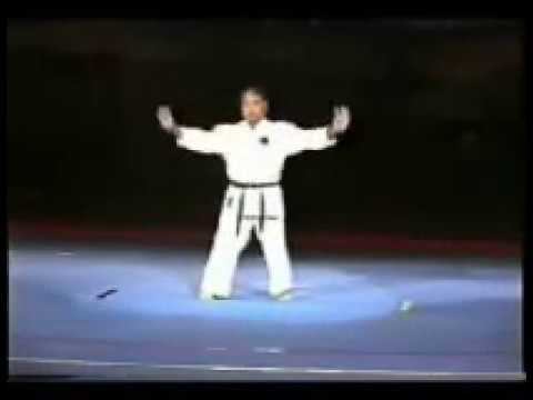 SENSEI MORIO HIGAONNA SUPARINPE KATA FALCONE'S SYSTEM