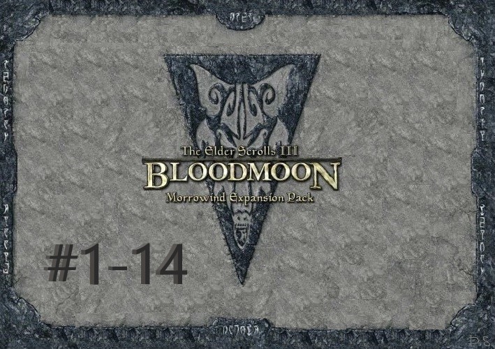 TESIII Bloodmoon #1-14 Проблемы с поставками (Воронья Скала).mp4