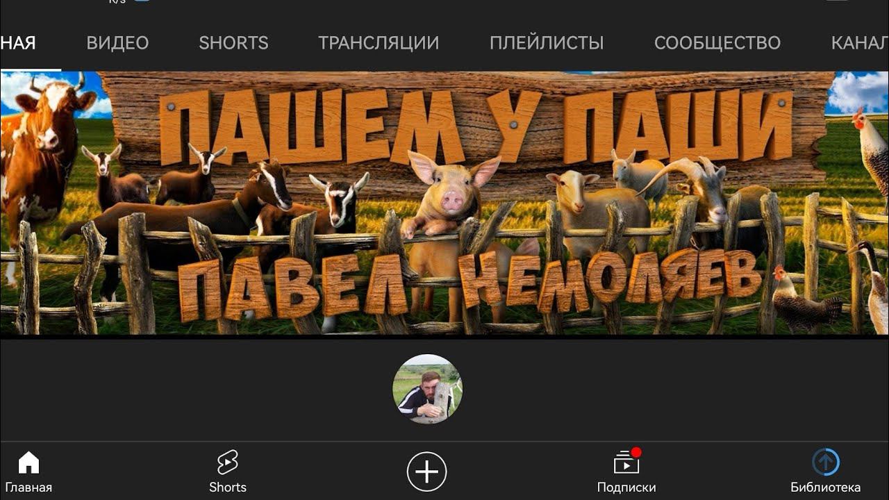 Шерстим YouTube или что от него осталось. Павел Немоляев - Дубки на связи