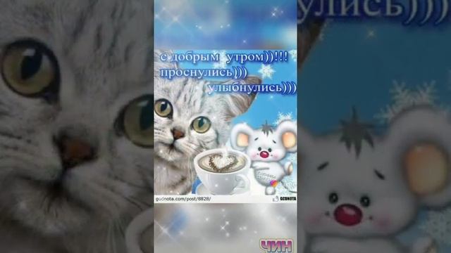 Доброе утро! Солнечного дня!.mp4