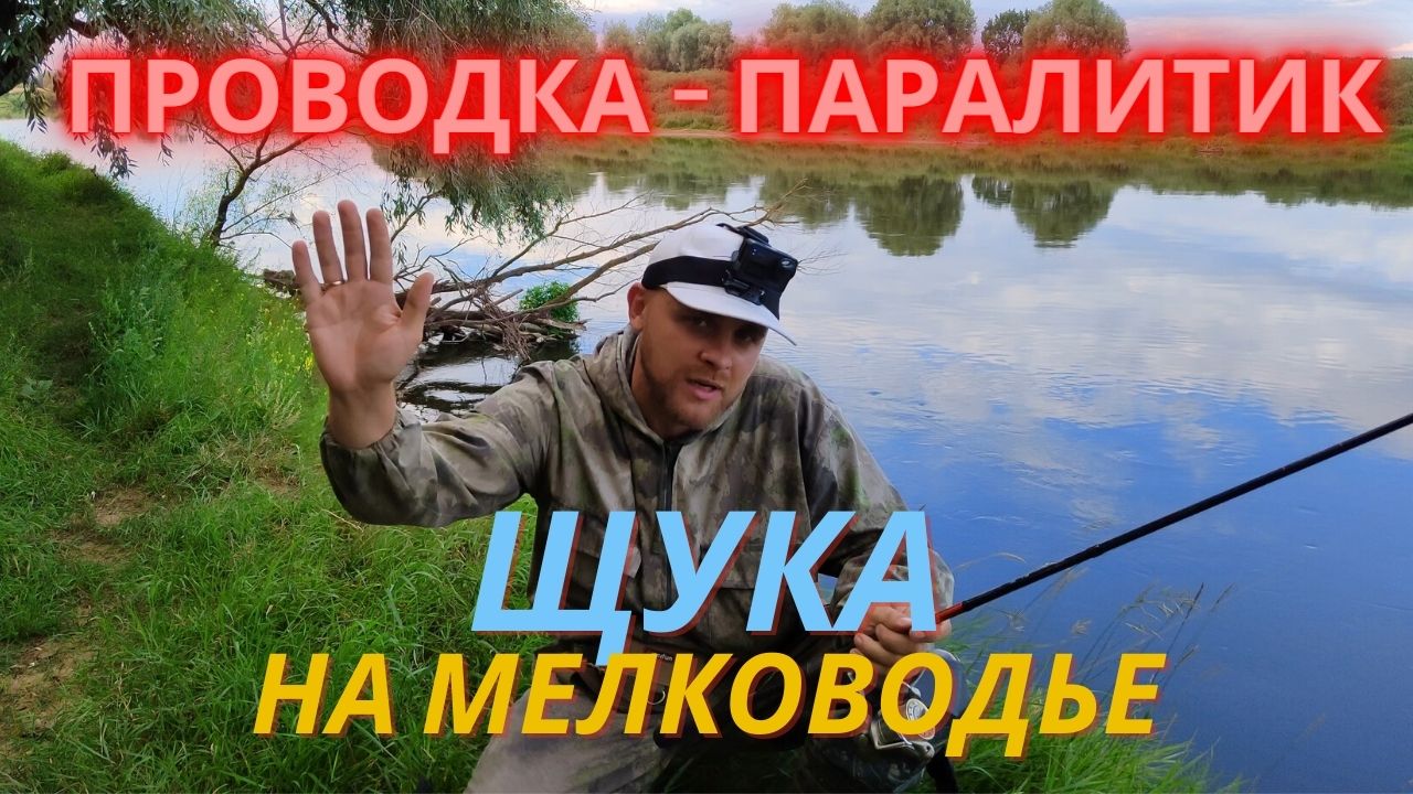 Как ловить щуку спиннингом на мелководье, спиннинговая проводка Паралитик.