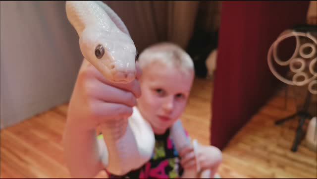 НЕ игрушечный ЦИРК!!!