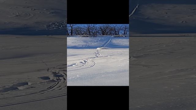 покатушки на санках