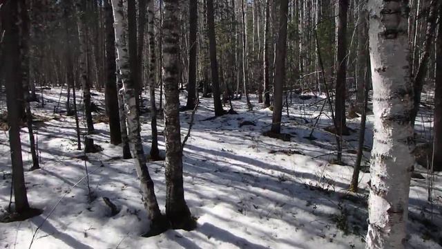 Вспомогательные способы ориентирования. Часть 12