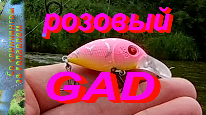 Воблеры на голавля. Тест обновок на течение. Tsuribito Sweet Crank,GAD Francrank и другие.