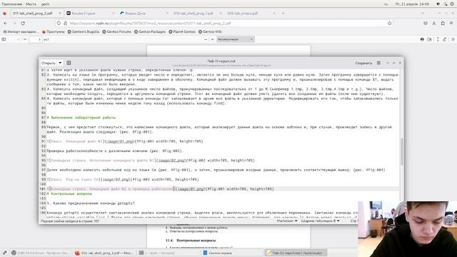Выполнение отчета по лабораторной работе №11