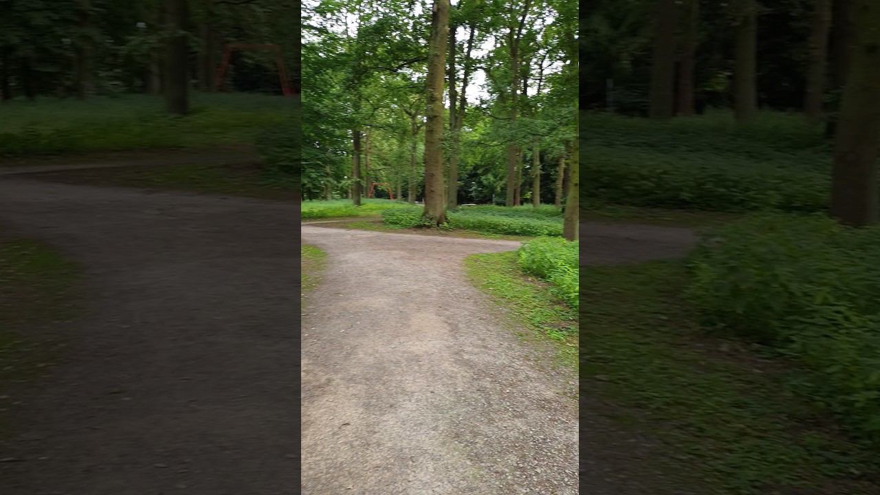 Прогулка в парке #thekostja