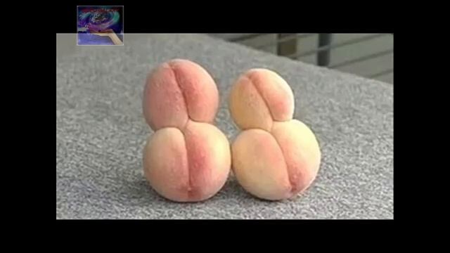 Фукусима. Растения мутанты. Овощи мутанты. Фрукты мутанты.