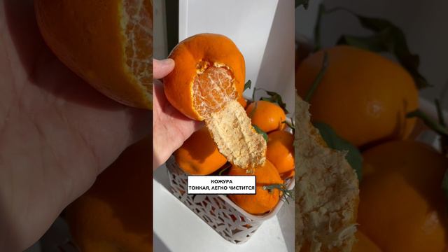 МАНДАРИН КАК ГРУША? ПОПРОБУЕМ!