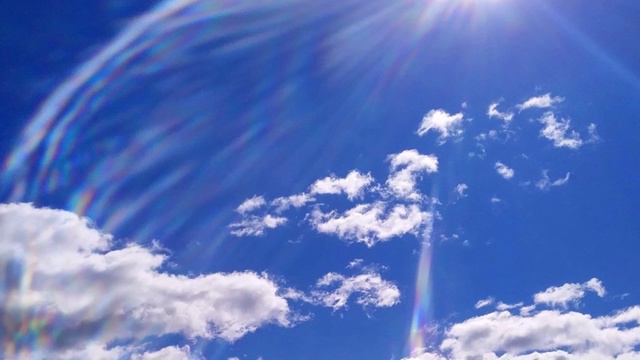 "Ячейка за ячейкой". Второй этап практики «Прорванная паутина».