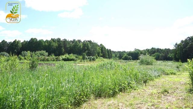 Видео для подачи заявки на грант