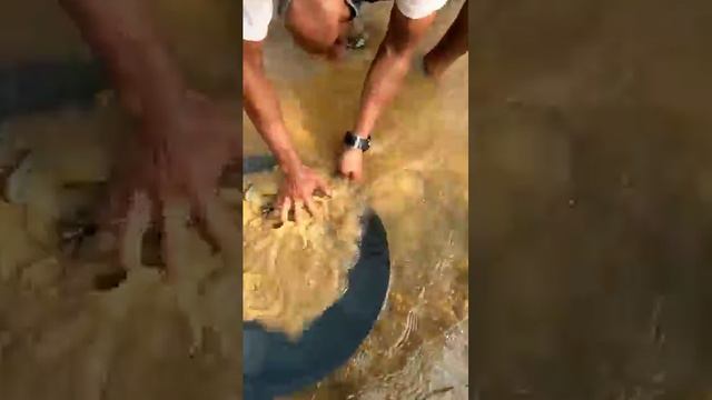 Поиск сокровищ охотник на золото #золотодобыча #промывказолота #охотазасокровищами #поискзолота