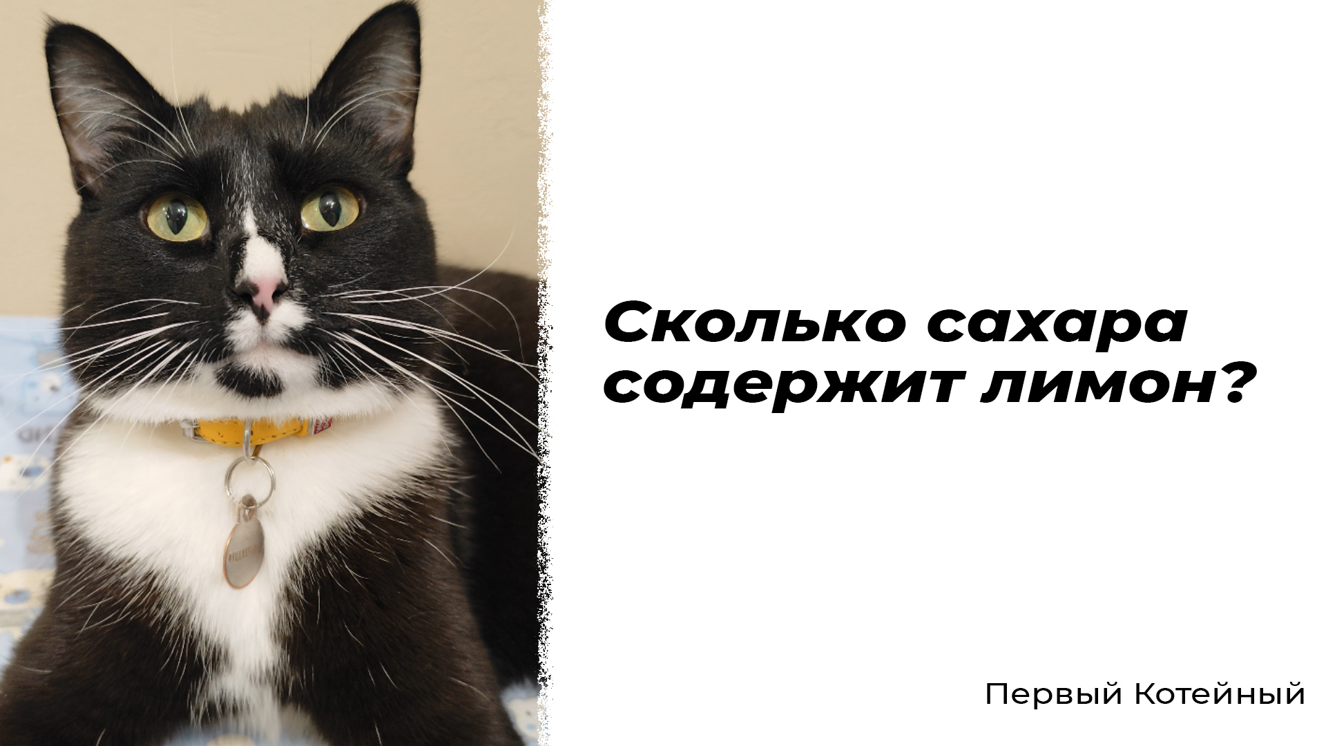 Сколько сахара содержит лимон? ?