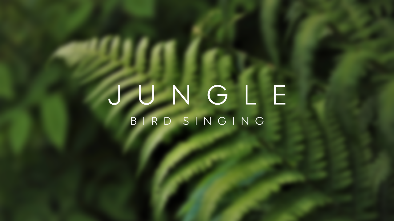 Пение тропических птиц