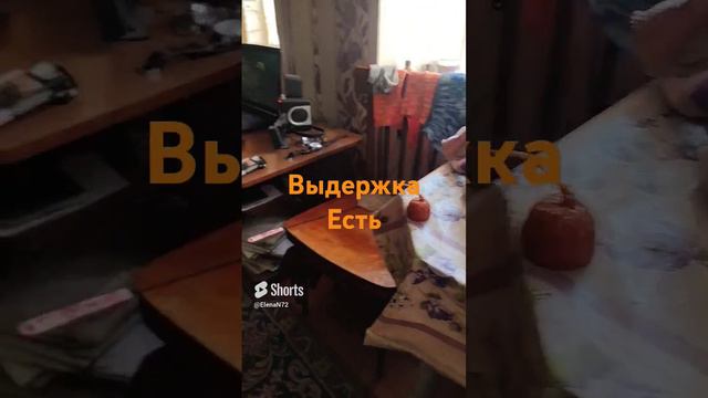 Выдержка у Шельки есть.