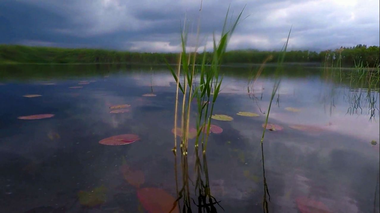 ОЗЕРО ЧЕРНЕНЬКОЕ ЗВУК ДОЖДЯ ПОД ВОДОЙ 2022.06.03