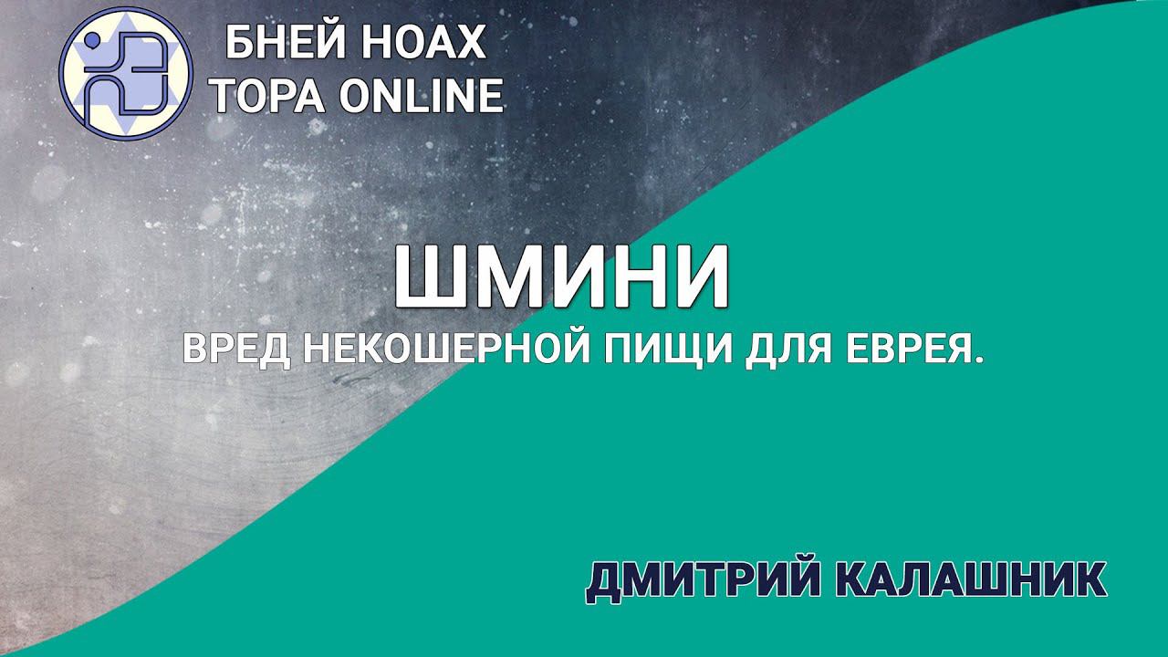Вред не кошерной пищи для еврея. Недельная глава Шмини