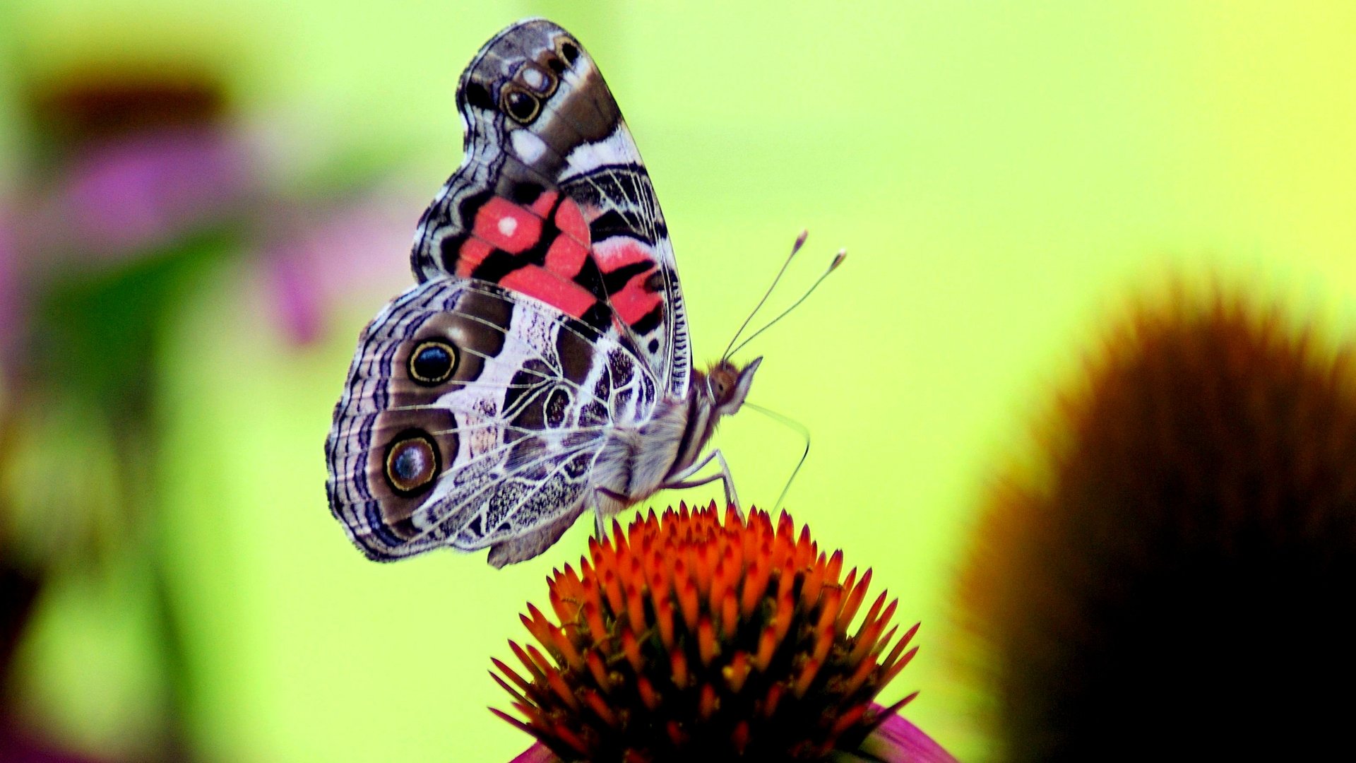 Андерсон Юэлль - 01. Замок, озвучивает Nikosho..mp4