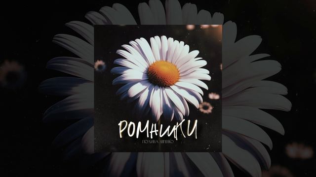 Полина Левченко — Ромашки 🌼