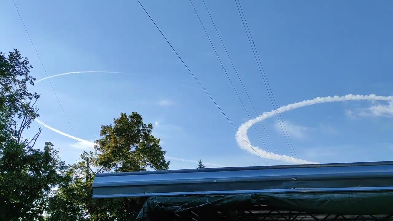 Виды со двора   полет шмеля по небу