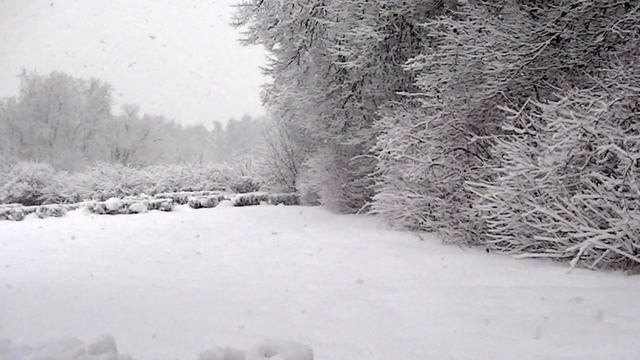 Зимняя сказка 2019 в Кусково
