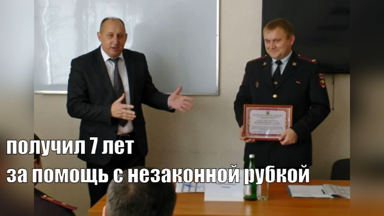 Полицейский получил 7 лет за помощь с незаконной рубкой.