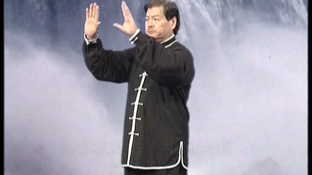 108 Традиционная круглая форма тайцзицюань стиля У. Ч 7