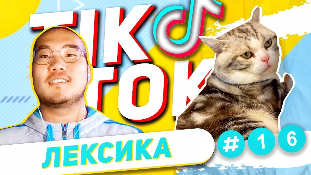 ЛЕКСИКА TIK-TOK #16 Нельзя продавать котика  УЧУ КИТАЙСКИЙ ЯЗЫК ✌ Школа Динары Мин ✌