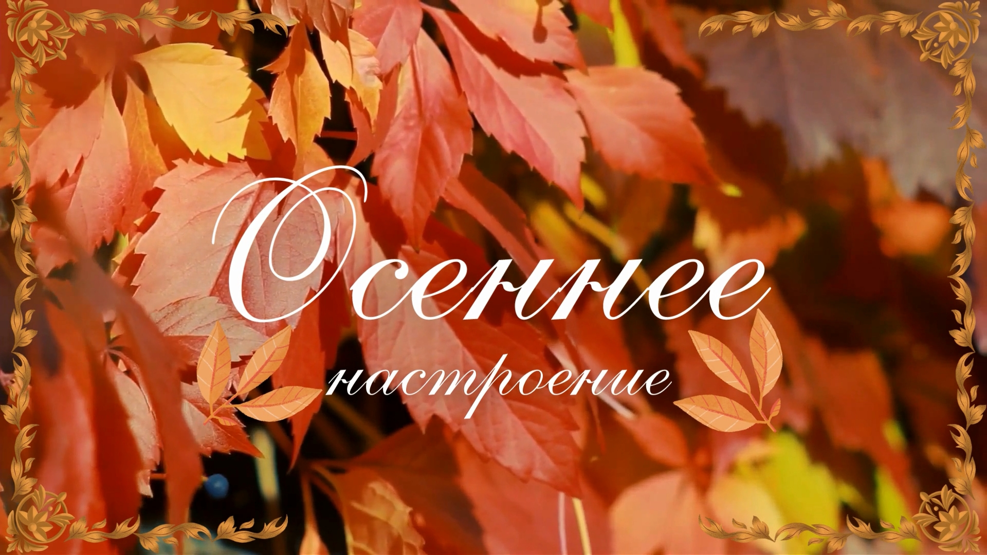 Осеннее Настроение!