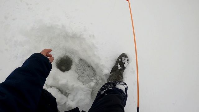 Рыбалка на флажки. Ловим плотву окуней. Выезд с ночёвкой. День второй