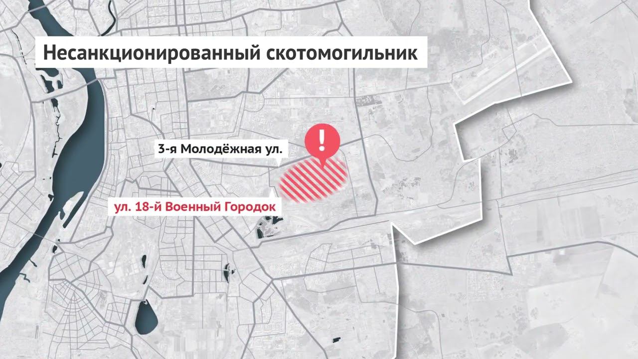 Скотомогильник. Омск